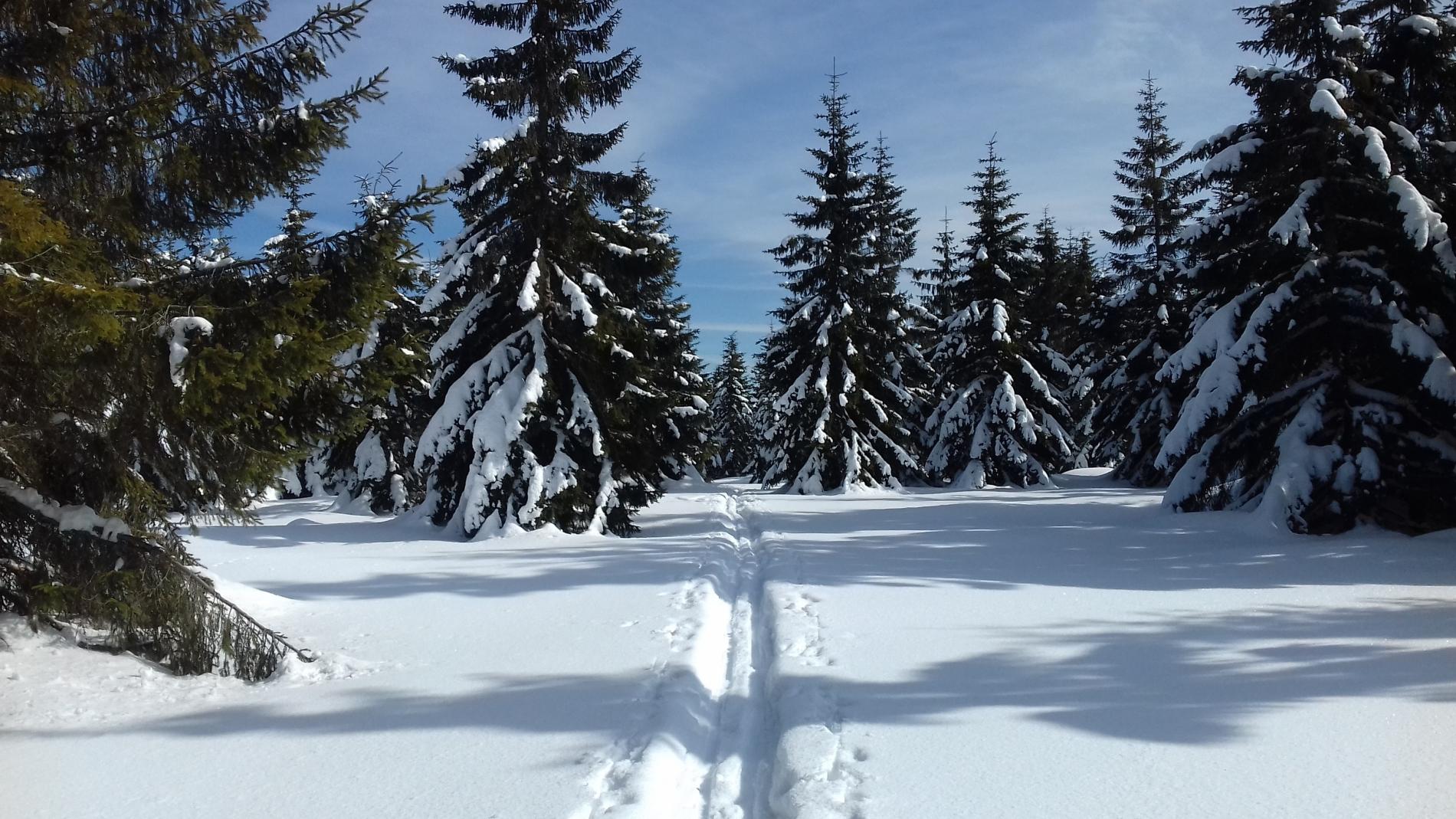 Kremnické vrchy: Kordíky-Tabla- Flochová-Kordícke sedlo-Tunel-Kordíky ...